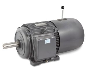 High-Performance Electric Motor Manufacturer | LHP Motors | Solapur, India